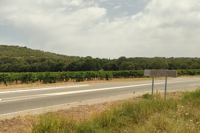Provençal Morning Farmers Market & Food Discovery Tour - Final Thoughts