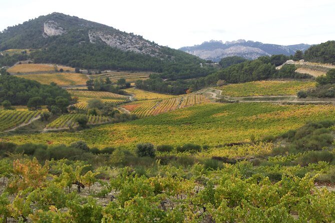 Provence Cru Wine Small-Group Half-Day Tour from Avignon - The Itinerary in Detail