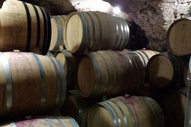 Provence Cru Wine Small-Group Half-Day Tour from Avignon - Who Will Enjoy This Experience?