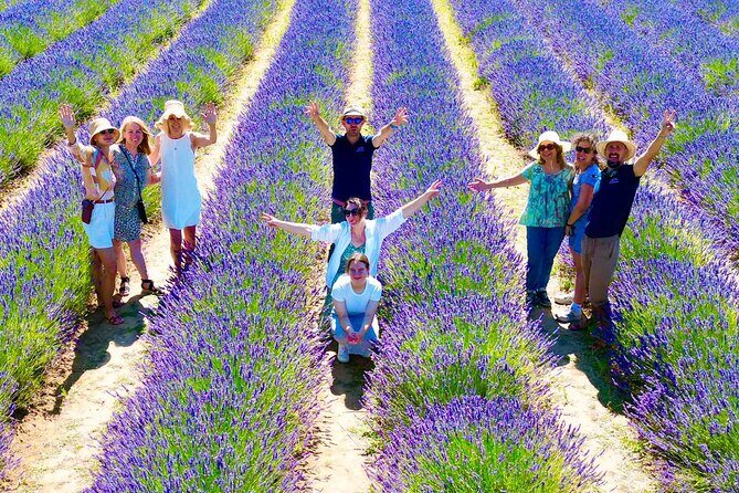 Provence Lavender Fields Tour from Aix-en-Provence - The Itinerary Breakdown