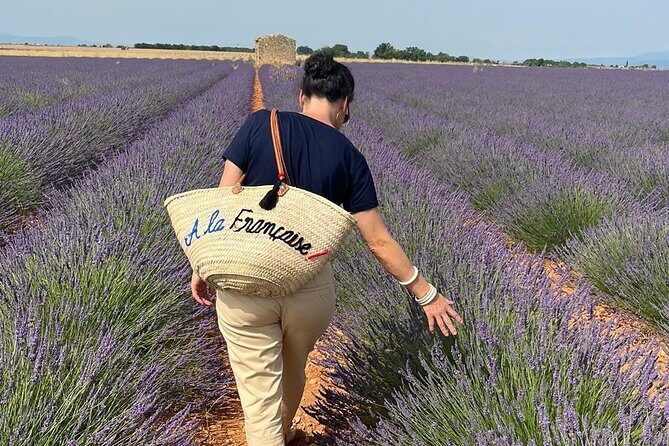 Provence Lavender Fields Tour from Aix-en-Provence - The Sum Up