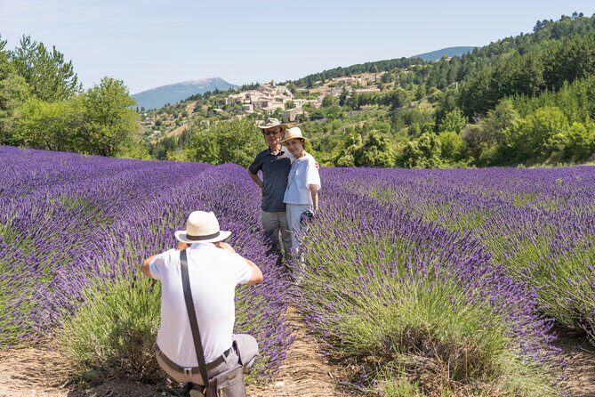 Provence Lavender Full Day Tour from Avignon - Key Points  