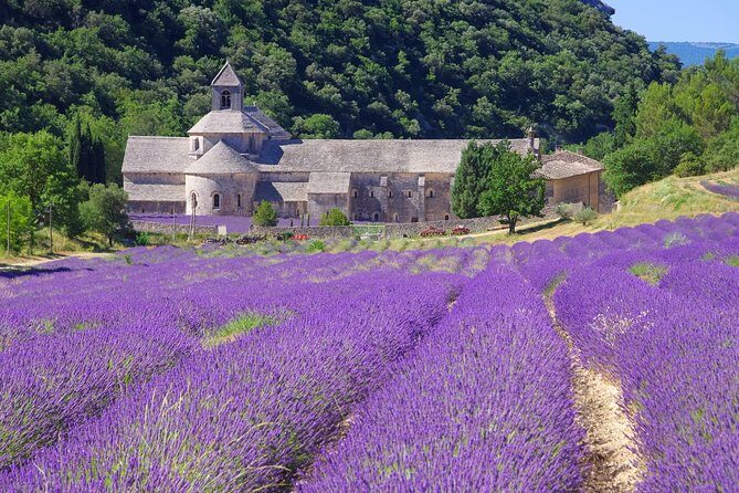 Provence Lavender Full Day Tour from Avignon - Scenic Drive Through Provence’s Lavender Heartland
