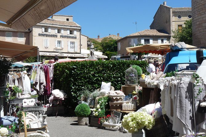 Provence Lavender Full Day Tour from Avignon - Transportation and Group Size