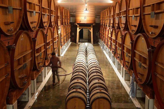 Provence Private Full Day Wine Tour with Wine Tasting - An In-Depth Look at the Tour Experience