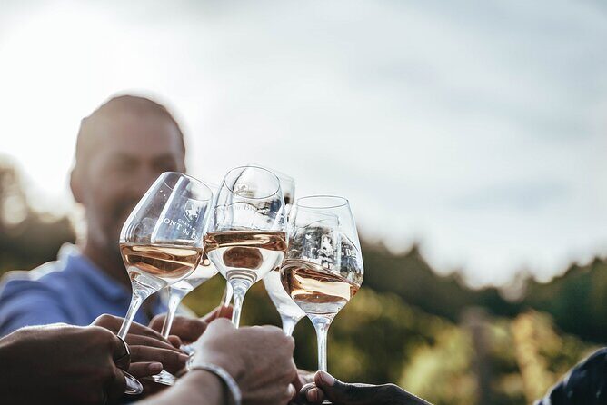 Provence Wine Tour - Private Day Tour from Antibes - Practical Details and Planning