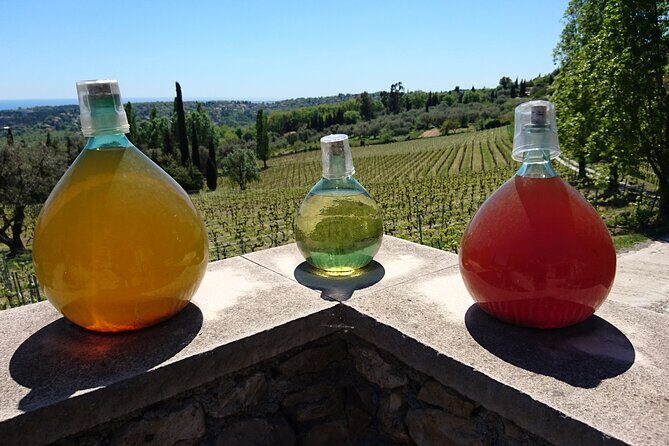 Provence Wine Tour - Private Day Tour from Antibes - Frequently Asked Questions