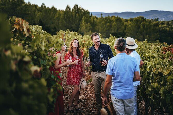 Provence Wine Tour - Small Group Tour from Cannes - Key Points