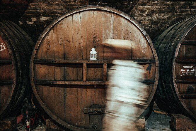 Provence Wine Tour - Small Group Tour from Cannes - An Overview of the Provence Wine Tour