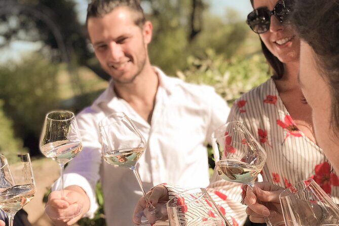 Provence Wine Tour - Small Group Tour from Cannes - Practical Details and What to Expect