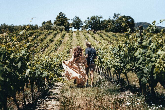 Provence Wine Tour - Small Group Tour from Cannes - FAQ Section