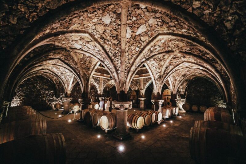 Provence Wine Tour - Small Group Tour from Cannes - What Travelers Say