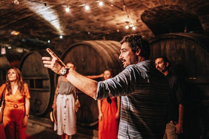 Provence Wine Tour - Small Group Tour from Nice - Authentic Experiences and Insider Tips