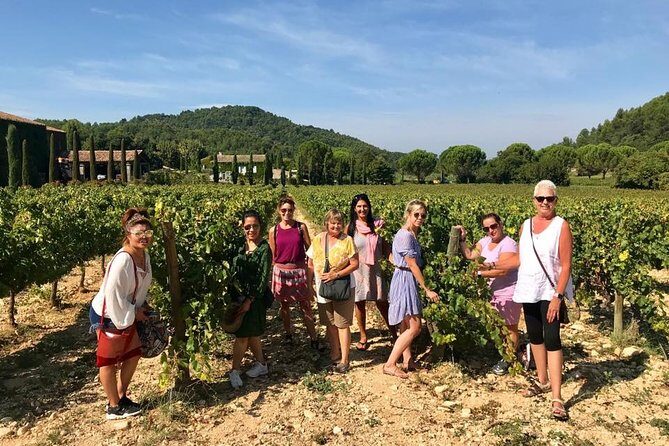 Provence wonders from the port of Marseille - Authentic Experiences and Unforgettable Moments