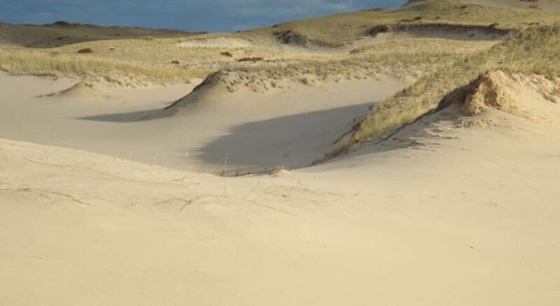 Provincetown: Cape Cod National Seashore Park Dune Tour - What to Expect on the Tour  