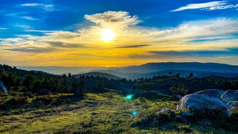 Prozelo: Buggy Tour - Key Points