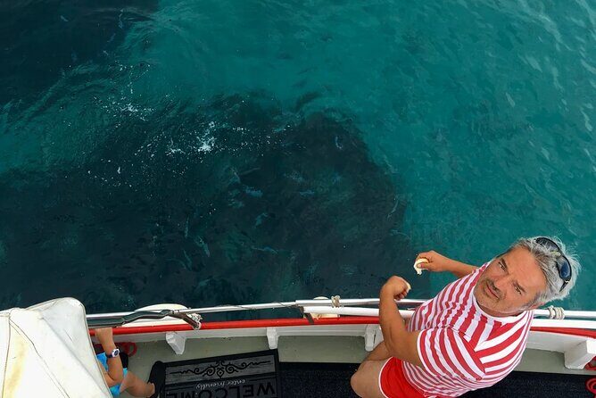 PUBLIC 5h Plavnik Island swimming & snorkeling Half-day Boat trip - The Sum Up