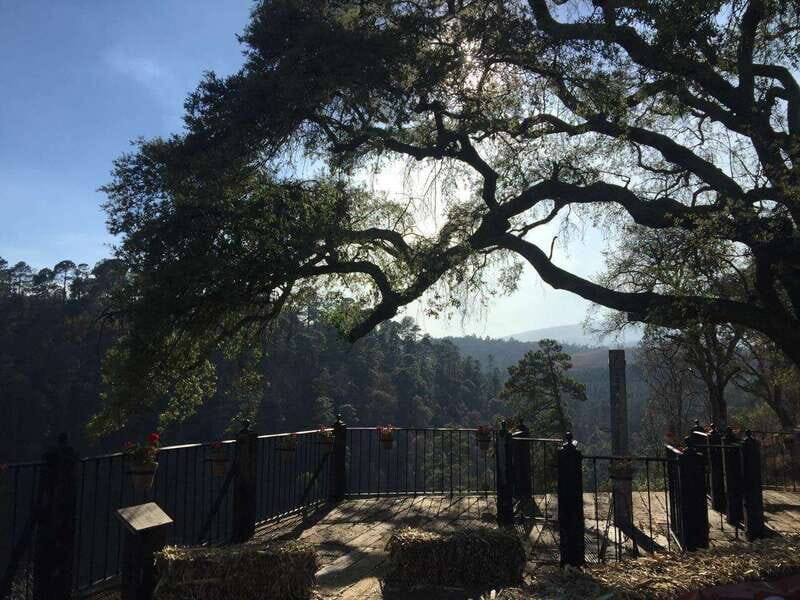 Puebla: Alpinia Mountain and Nature Park - Introduction