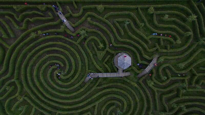 Puebla: Alpinia Mountain and Nature Park - Hiking and Forest Walks