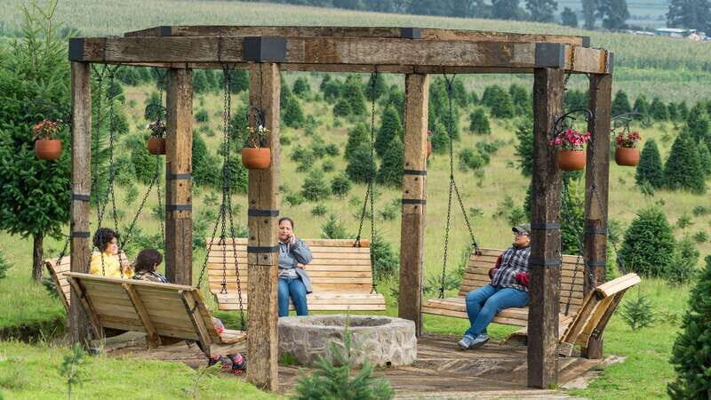 Puebla: Alpinia Mountain and Nature Park - Farm Animals and Family Fun