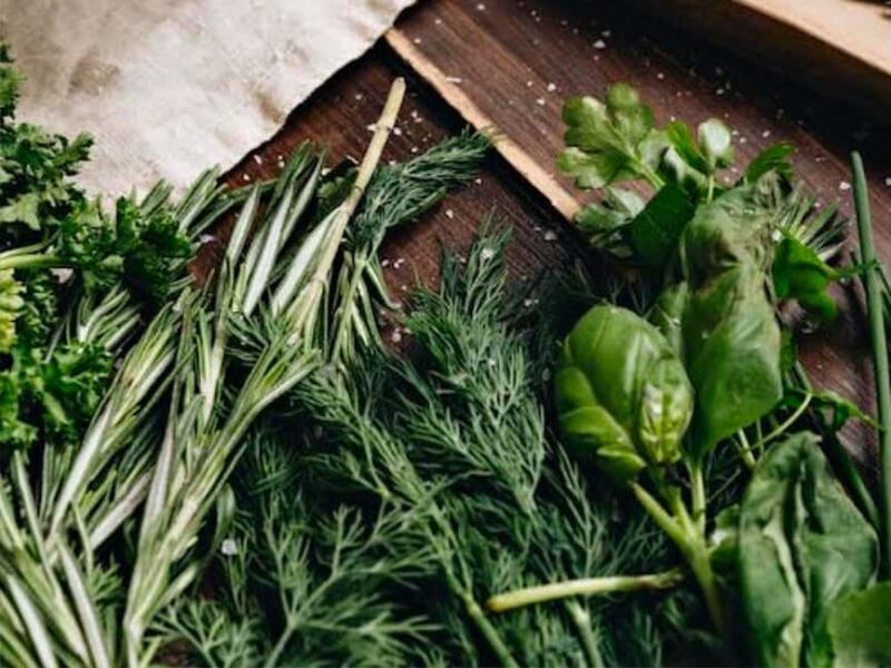 Puebla: Ancestral Aztec Temazcal steam bath ceremony - The Cultural Significance and Authenticity