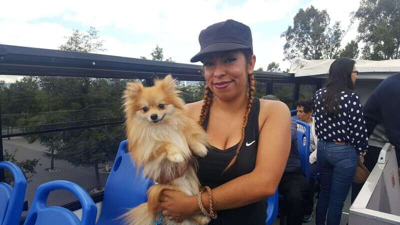 Puebla: Hop-On Hop-Off Bus Tour with Audio Guide - Who Will Love This Tour?