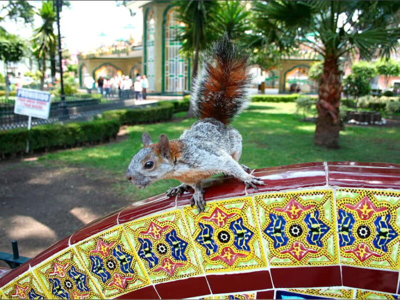 Puebla: Magical Atlixco, Volcano, Unique Garden & Plant Maze - An In-Depth Look at the Tour Experience