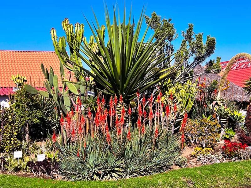 Puebla: Magical Atlixco, Volcano, Unique Garden & Plant Maze - FAQ