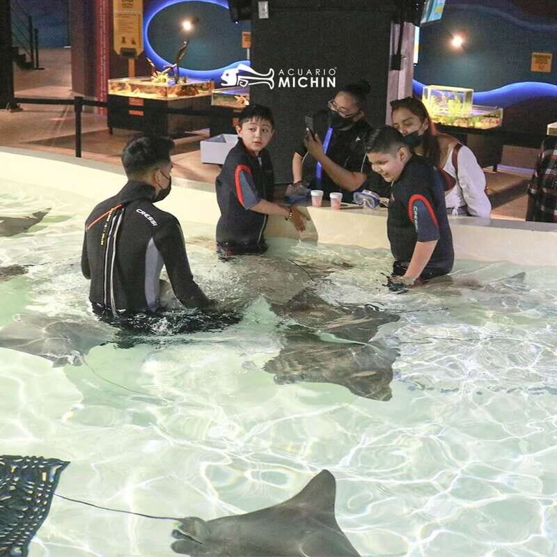 Puebla: Ticket to Aquarium Michin - Introduction