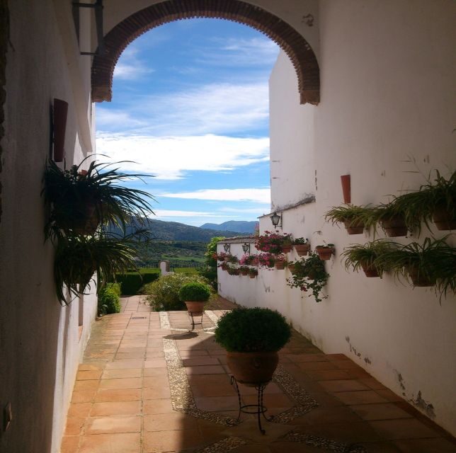 Pueblos Blancos & Ronda: Private Full-Day Tour from Seville - FAQ