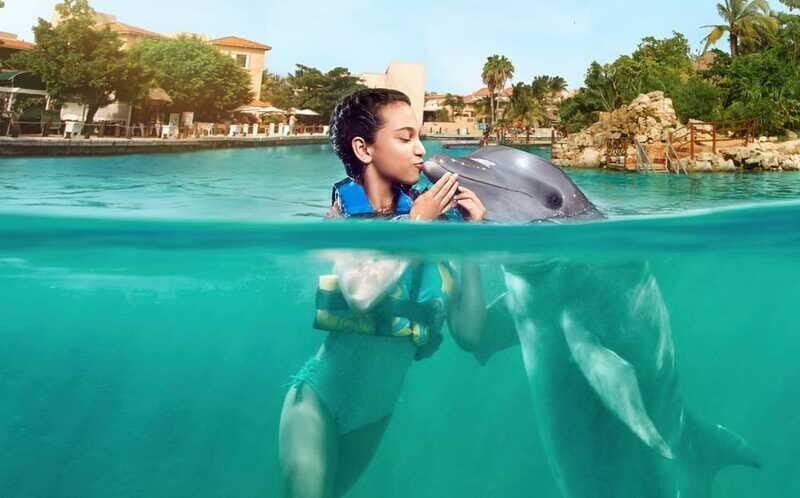 Puerto Aventuras: Dolphin and Manatee Interaction with Lunch - FAQs