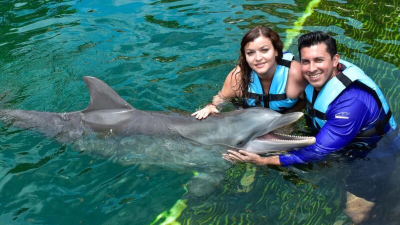 Puerto Aventuras: Dolphin & Manatee Encounter with lunch - Introduction