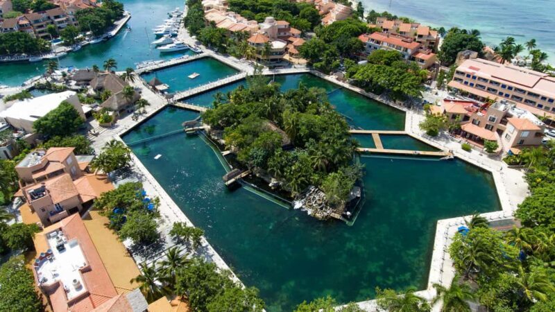 Puerto Aventuras: Dolphin & Manatee Encounter with lunch - The Itinerary in Detail