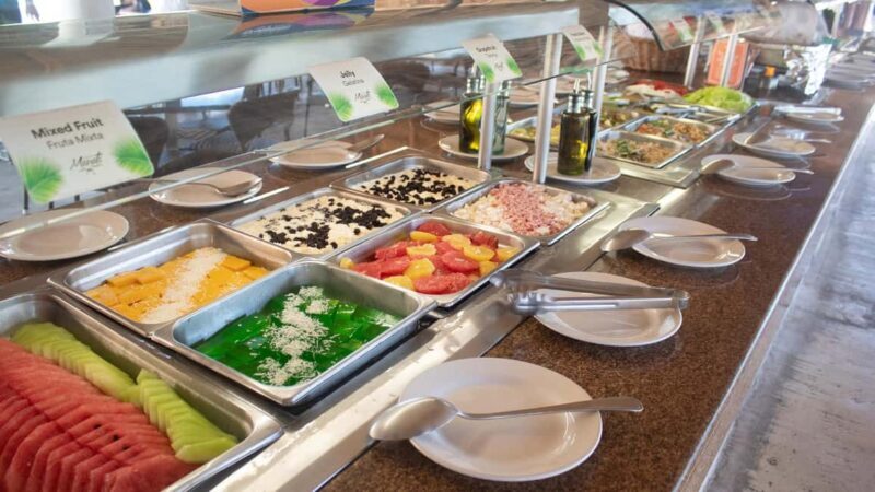 Puerto Aventuras: Dolphin & Manatee Encounter with lunch - Authentic Insights from Reviews