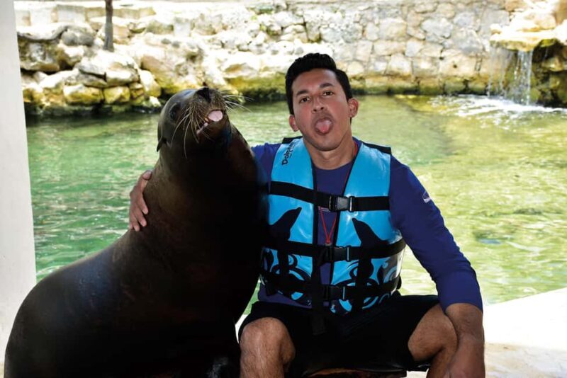 Puerto Aventuras: Dolphins, Manatee & Sea Lion interaction