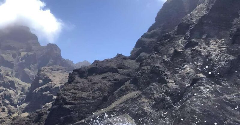 Puerto Colon: Dolphin and Whale Watching Speedboat Cruise - An In-Depth Look at the Experience