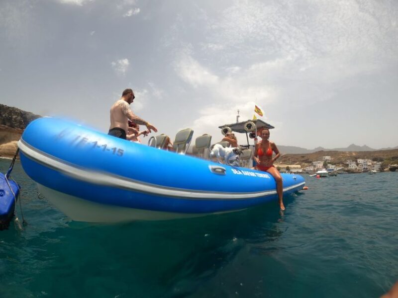 Puerto Colon: Dolphin and Whale Watching Speedboat Cruise - Who Is This Tour Best For?