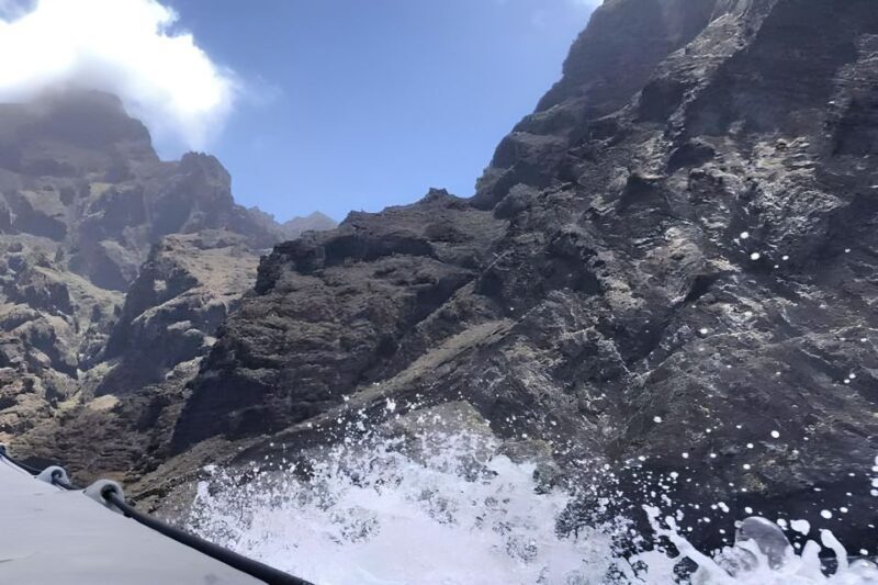 Puerto Colon: Dolphin and Whale Watching Speedboat Tour - Practical Details and Tips