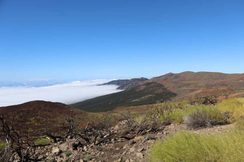 Puerto de la Cruz: Quad Teide National Park - Authentic Experiences and Real Feedback