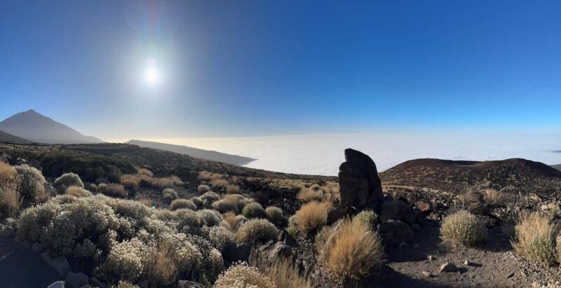 Puerto de la Cruz: Quad Tour to Mount Teide with Photos Included & Local Snack - Who Will Love This Experience?