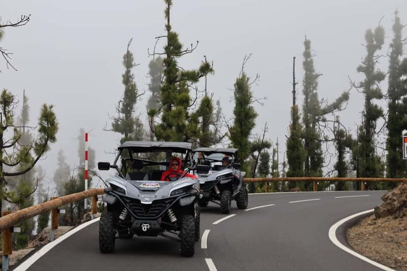 Puerto de la Cruz: Teide National Park Buggy Tour - Final Thoughts: Is This Tour Worth It?