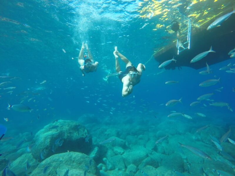 Puerto de Mogan: Boat and Snorkeling Trip - Puerto de Mogan: Boat and Snorkeling Trip — A Complete Guide