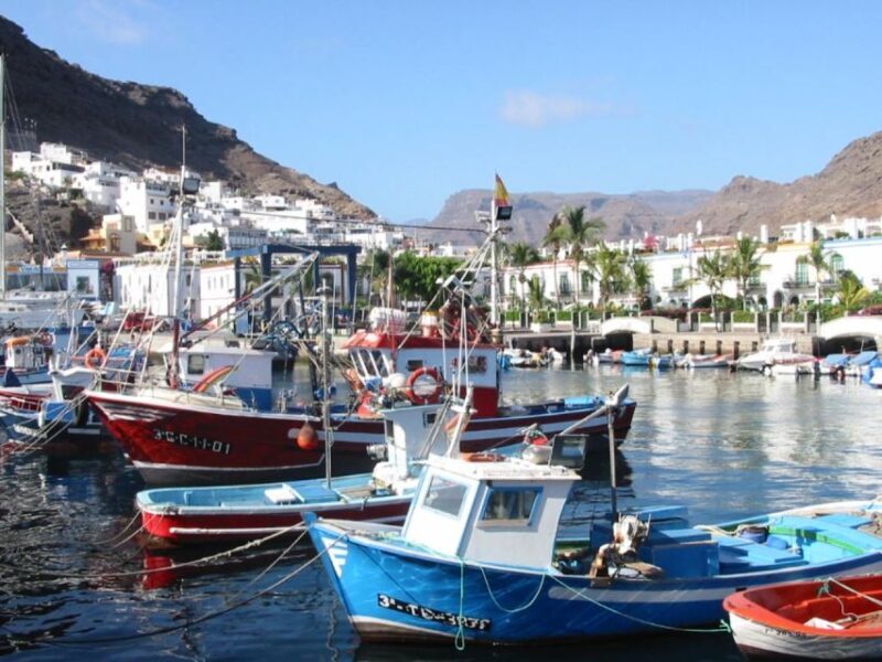 Puerto de Mogan: Friday Market Experience - Practical Details and Value