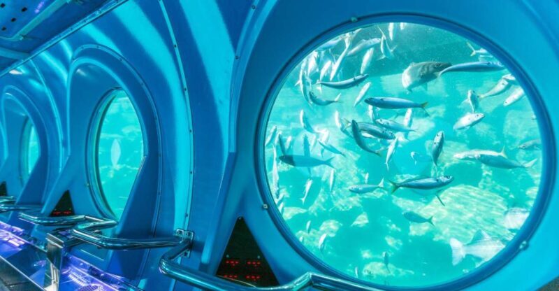 Puerto de Mogán: Submarine Tour - The Sum Up