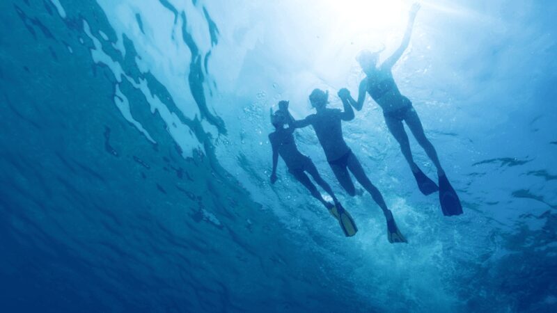 Puerto del Carmen: Snokel tour with an instructor - Puerto del Carmen: Snorkel Tour with an Instructor — A Deep Dive into Atlantic Marine Wonders