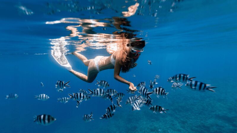 Puerto del Carmen: Snokel tour with an instructor - Why This Snorkel Tour Offers Good Value