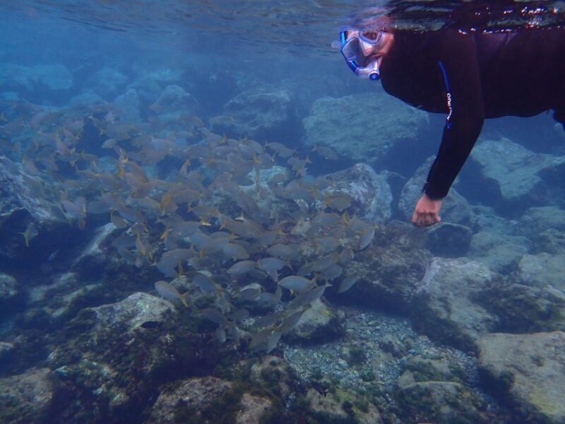 Puerto del Carmen: Snorkeling Trip with Dive Instructor - Who Will Love This Experience?