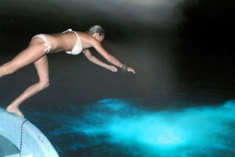 Puerto Escondido: Bioluminescence Night Spectacle - Who Will Love This Experience?