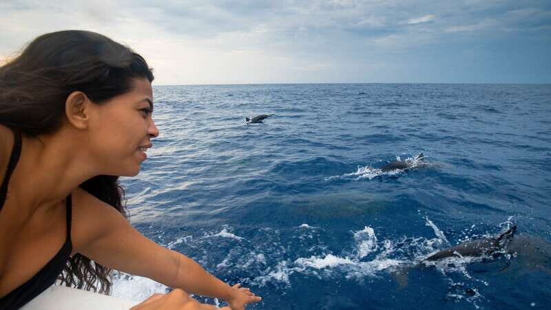Puerto Escondido: Boat Tour among Dolphins and Turtles - Key Points