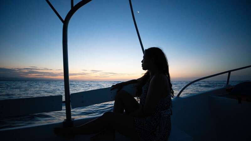 Puerto Escondido: Boat Tour among Dolphins and Turtles - An In-Depth Look at the Experience